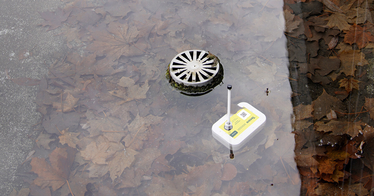 Clogged Roof Drains: Risks and Preventive Maintenance